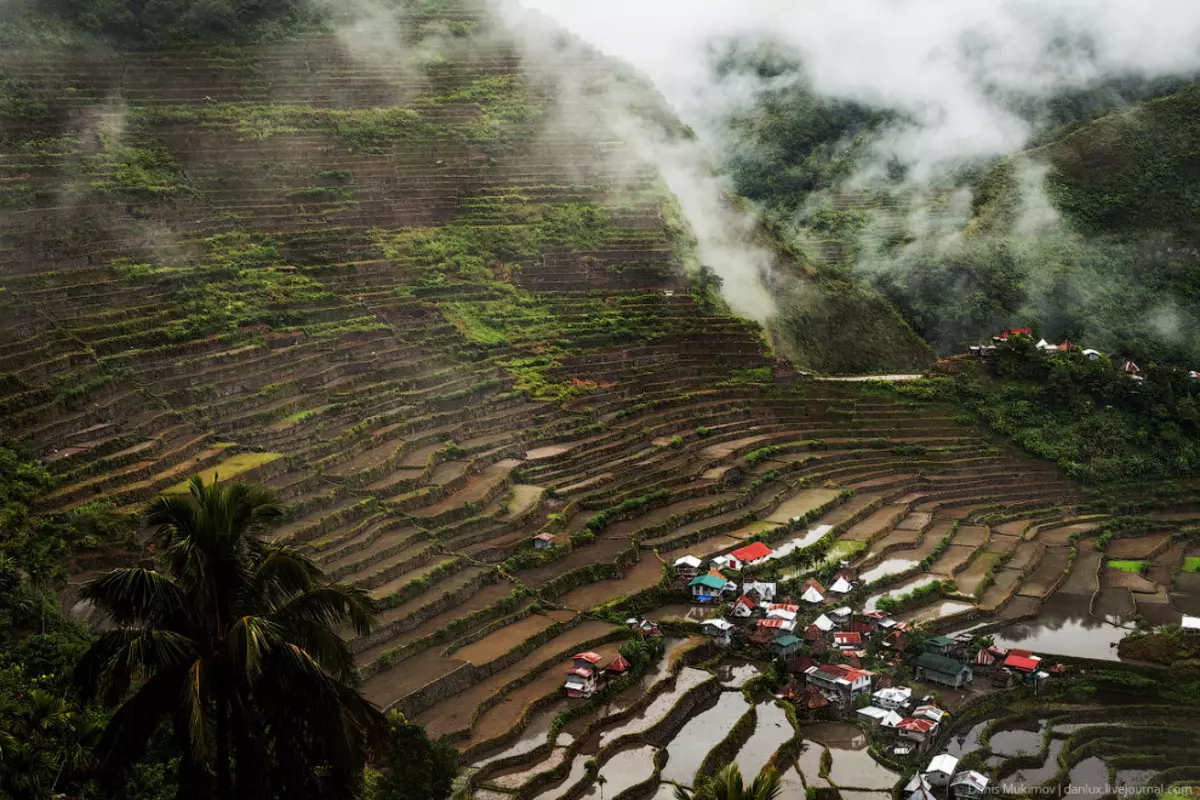 Rice Terraces Banowee. 3039_7