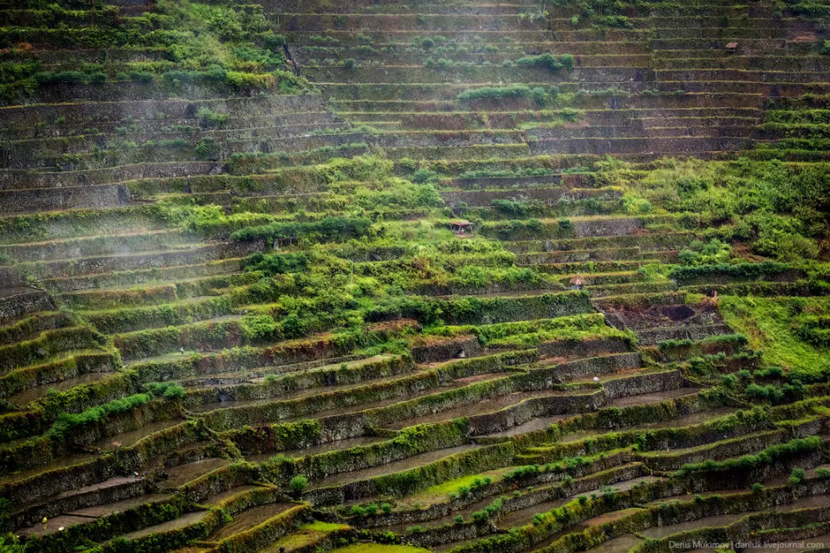 Rice Terraces Banowee. 3039_8