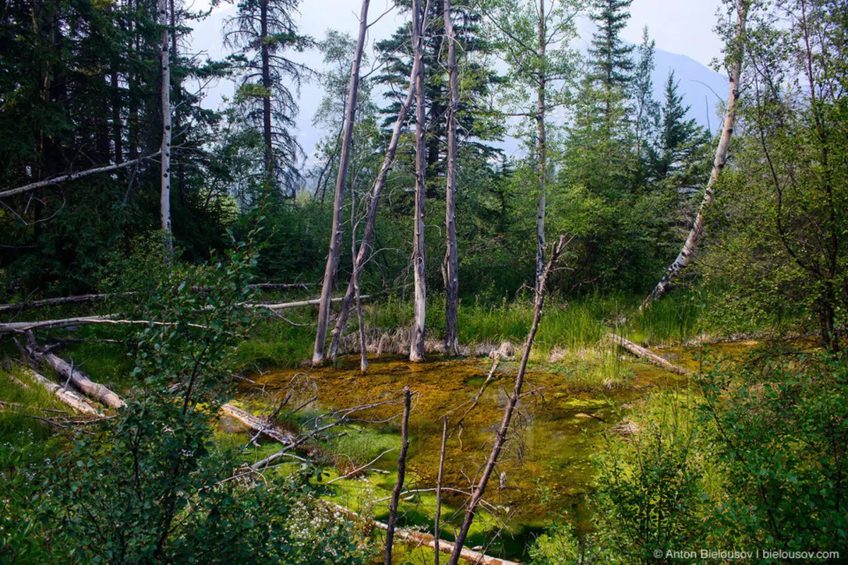 Banff - Kanada'nın En Eski Milli Parkı 3177_12