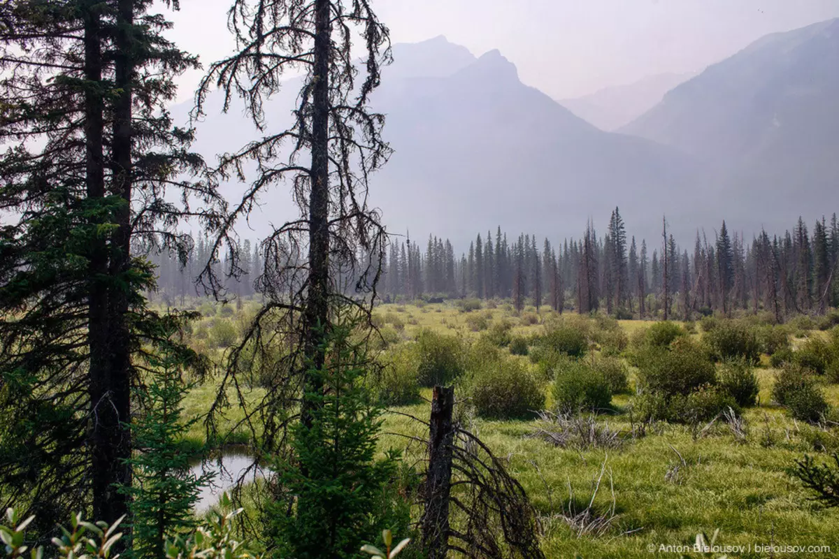 Banff - ສວນສາທາລະນະແຫ່ງຊາດຂອງການາດາ 3177_19