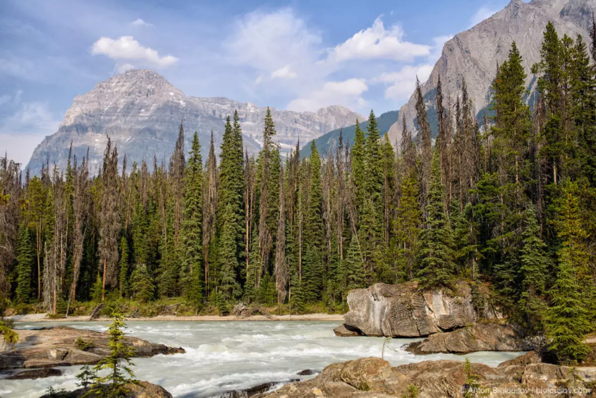 Banff - Kanadako Parke Nazional zaharrena 3177_2