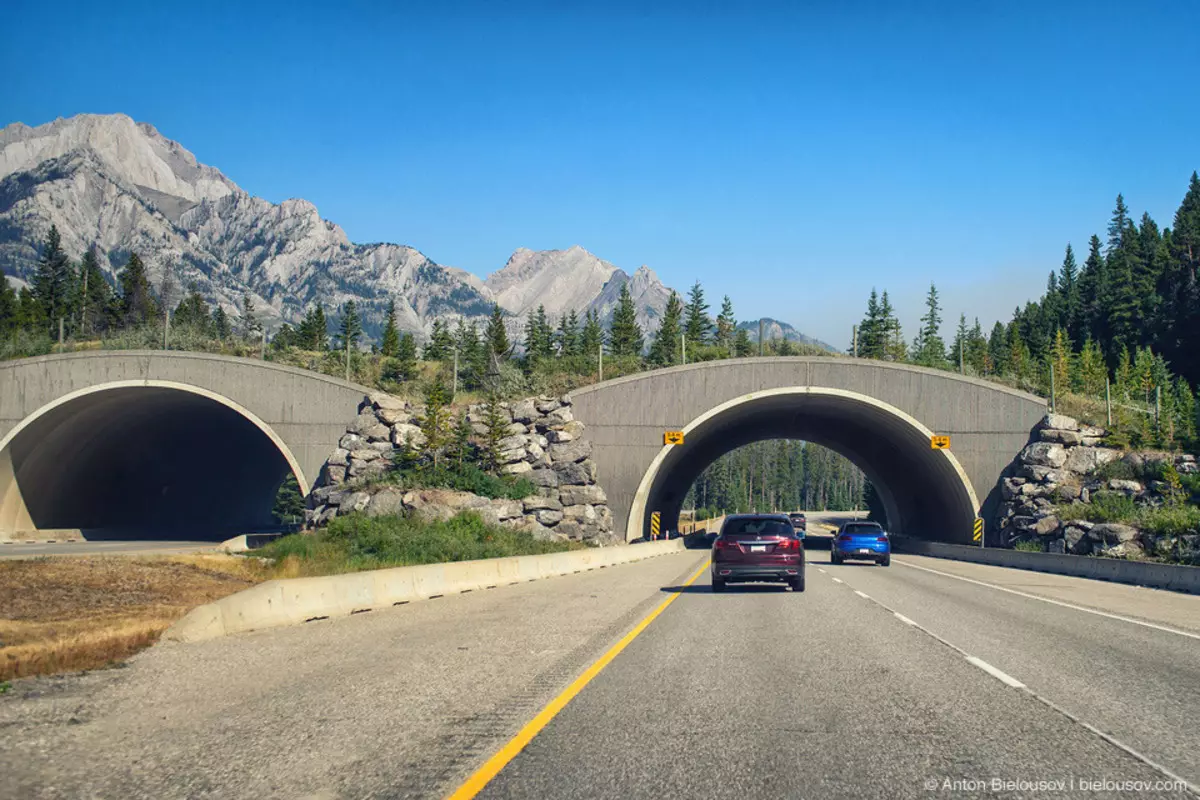 Banff - vecākais Kanādas nacionālais parks 3177_20