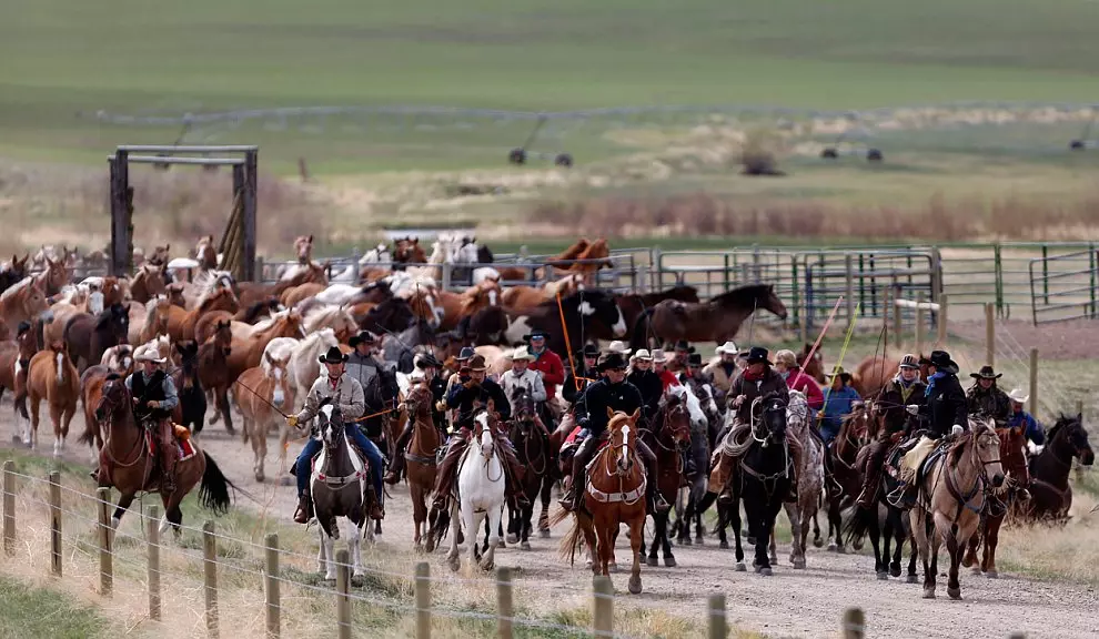 Land av riktiga cowboys