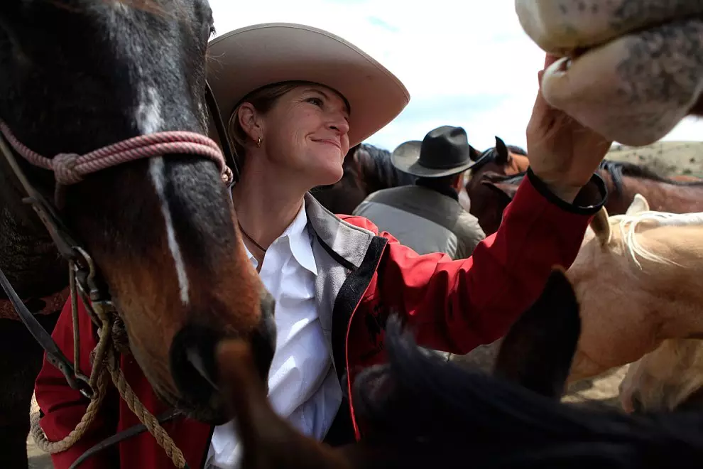 Land van echte cowboys