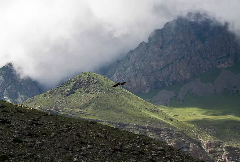 ڪابينا-بالڪليا ۾ 