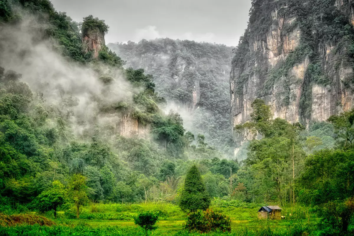 အင်ဒိုနီးရှားရှိနွားများအပေါ်ပြိုင်ကား 3563_5