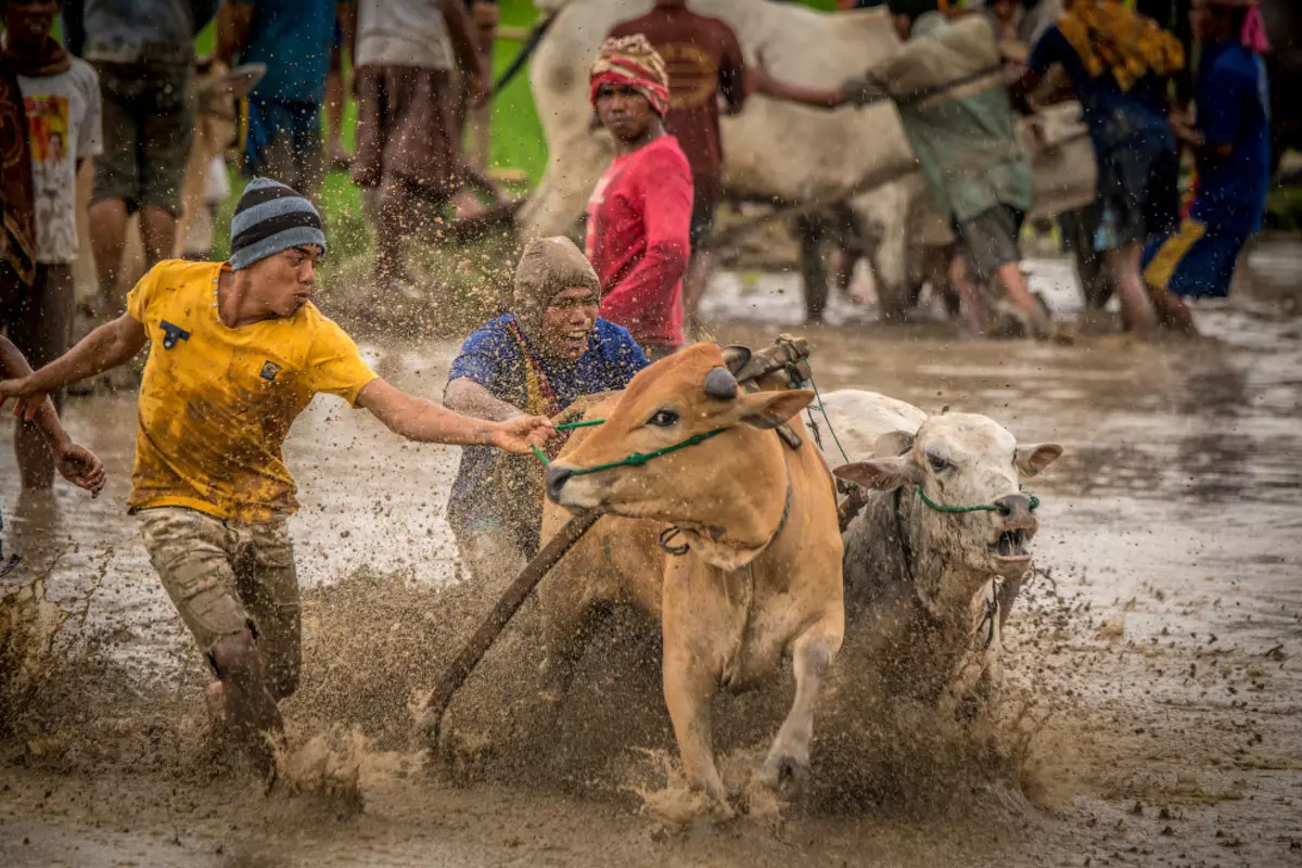 Racing Bulls Indoneesias 3563_7