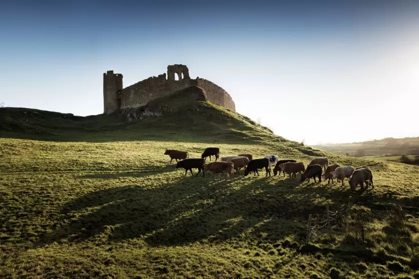 Irlanda prosperă în fotografii 5013_5