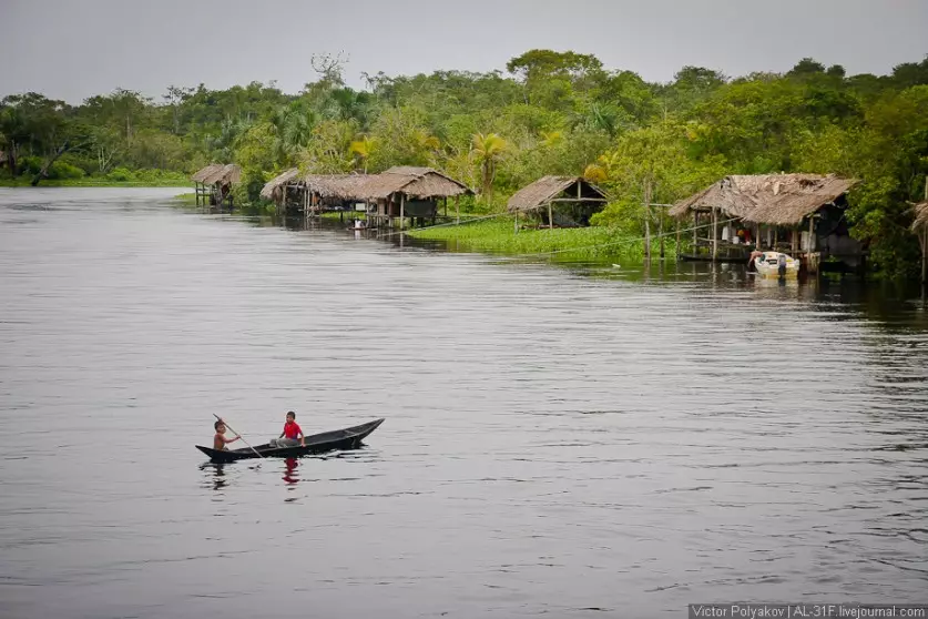 Dans le delta de la rivière Orinoco 5028_2