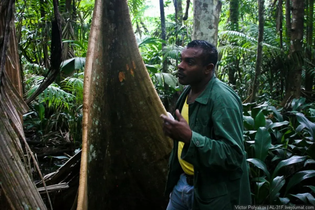 Dans le delta de la rivière Orinoco 5028_27