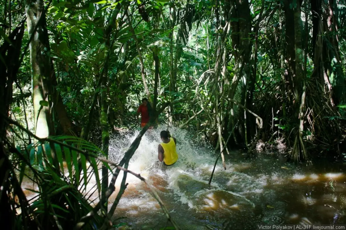 Dans le delta de la rivière Orinoco 5028_29