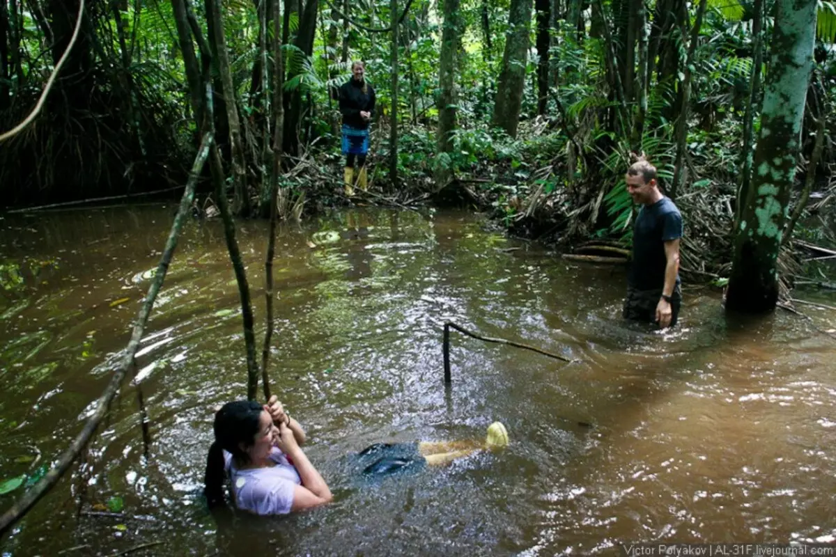 Dans le delta de la rivière Orinoco 5028_30