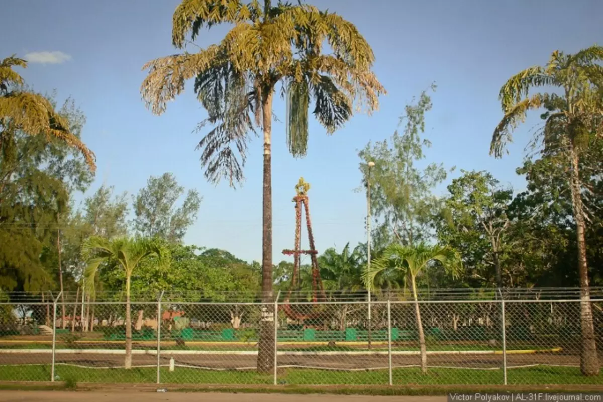 Dans le delta de la rivière Orinoco 5028_43