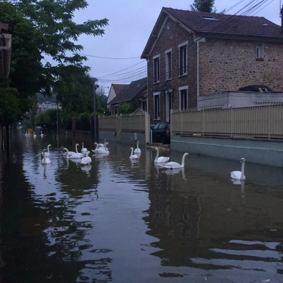 Bijna het verdrinken van Parijs 7072_40