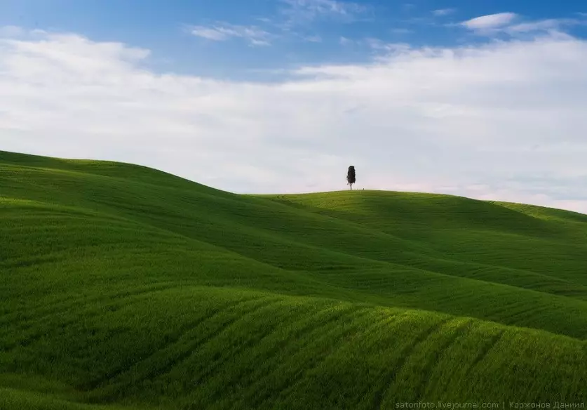 Primavera magnífica Toscana 7106_15