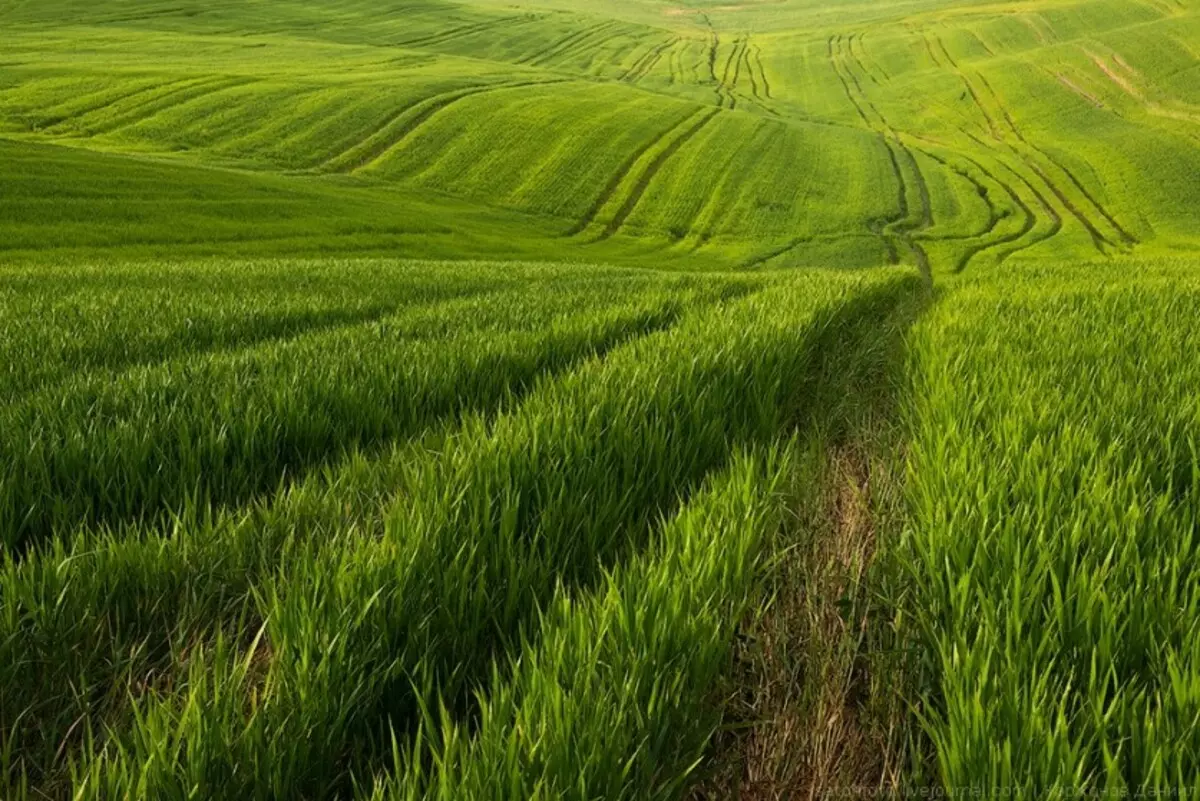 Primavera magnífica Toscana 7106_17