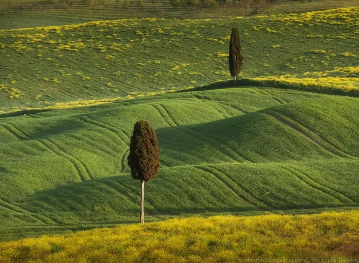 Primavera magnífica Toscana 7106_20