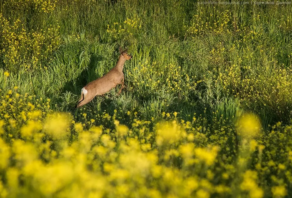 Toscana da primavera