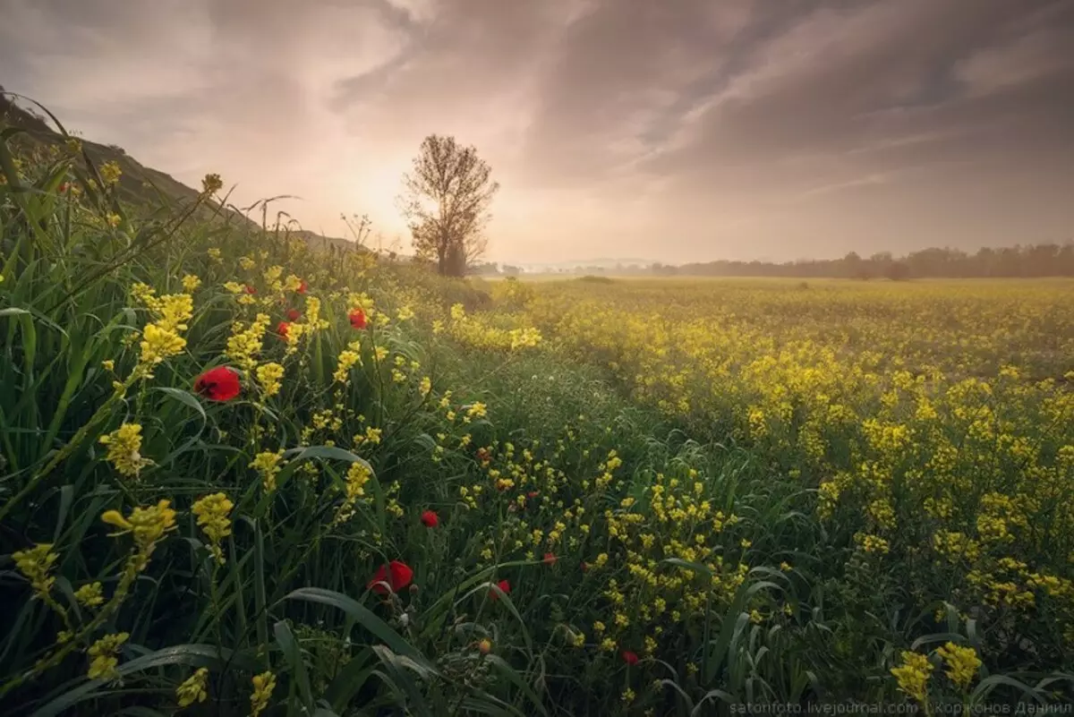 Primavera magnífica Toscana 7106_3