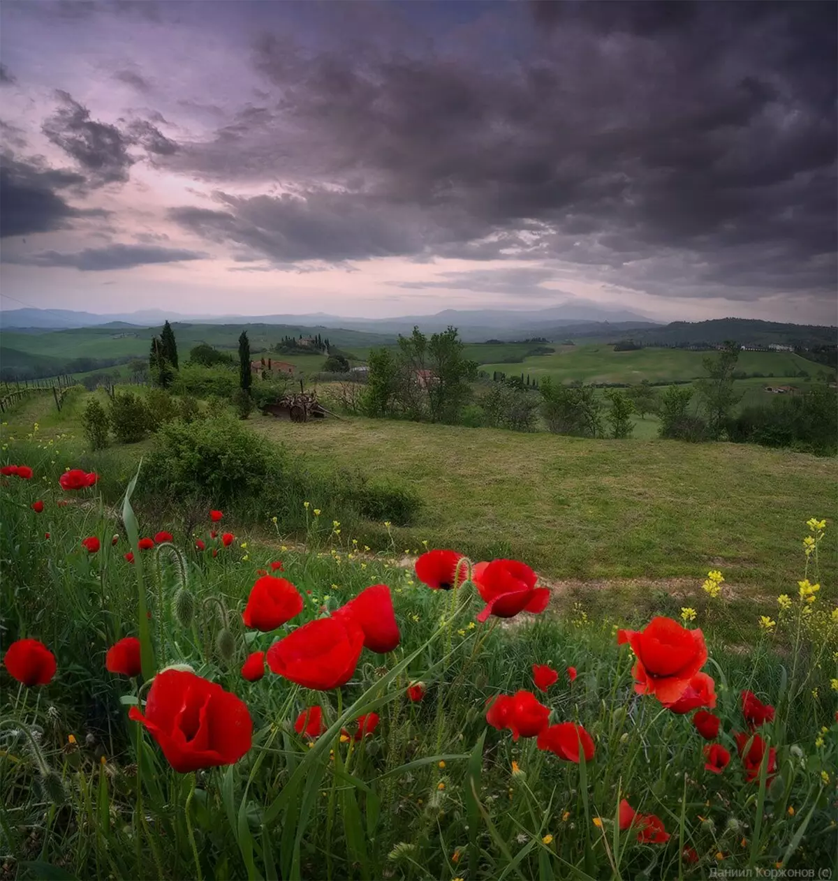 Toscana da primavera