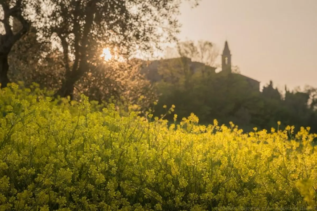 Primavera magnífica Toscana 7106_4