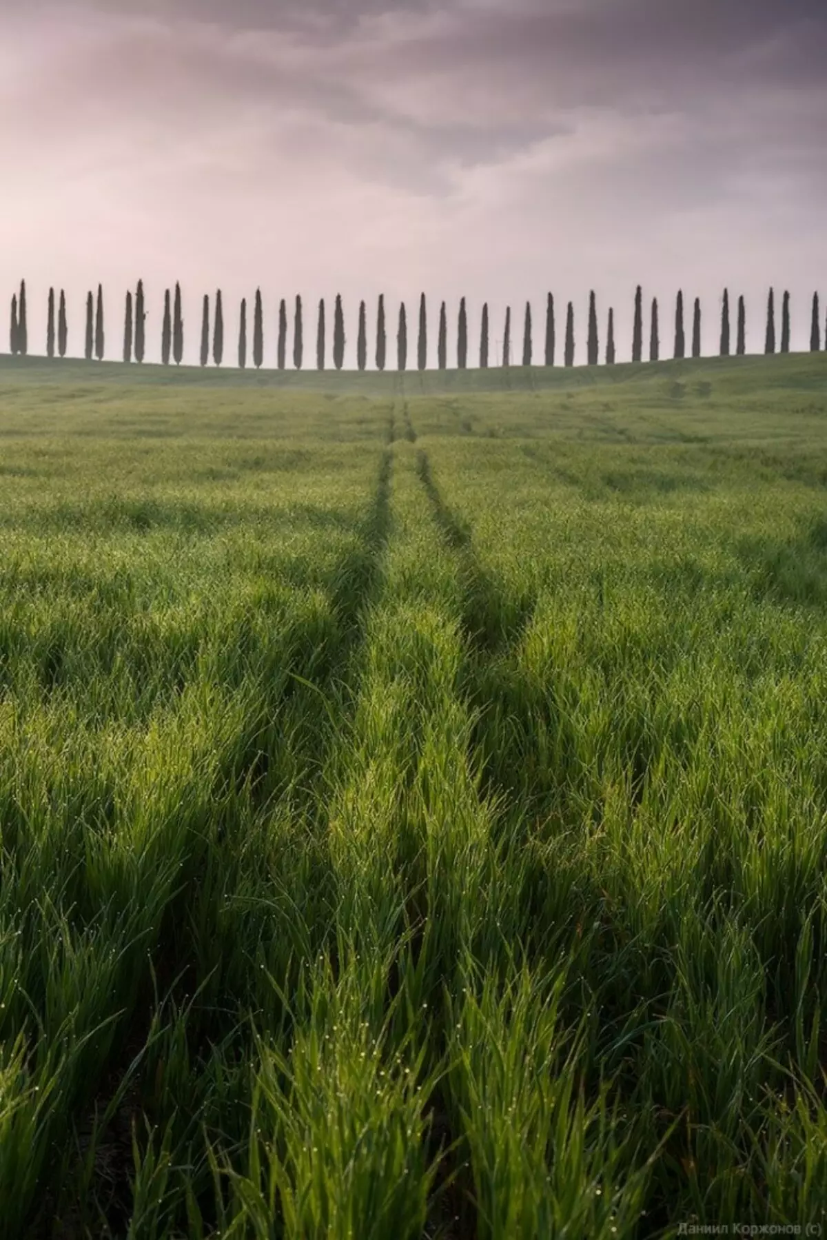 Primavera magnífica Toscana 7106_5