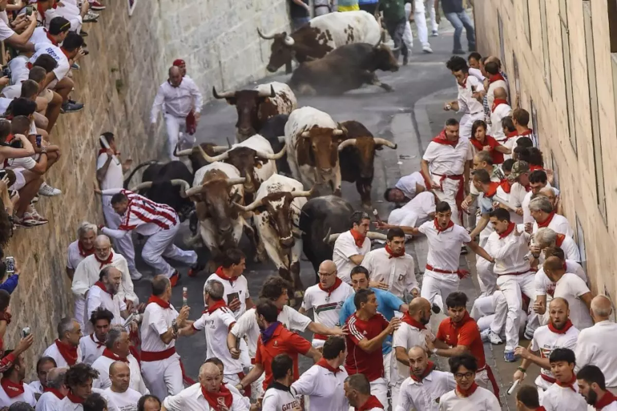 Divje morale špandov 7190_12