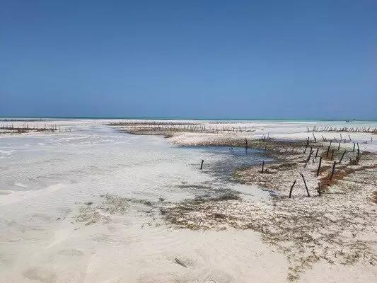 In tali cavità puoi nuotare durante la bassa marea. La cosa principale per la copertura non contraria. Foto per autore.