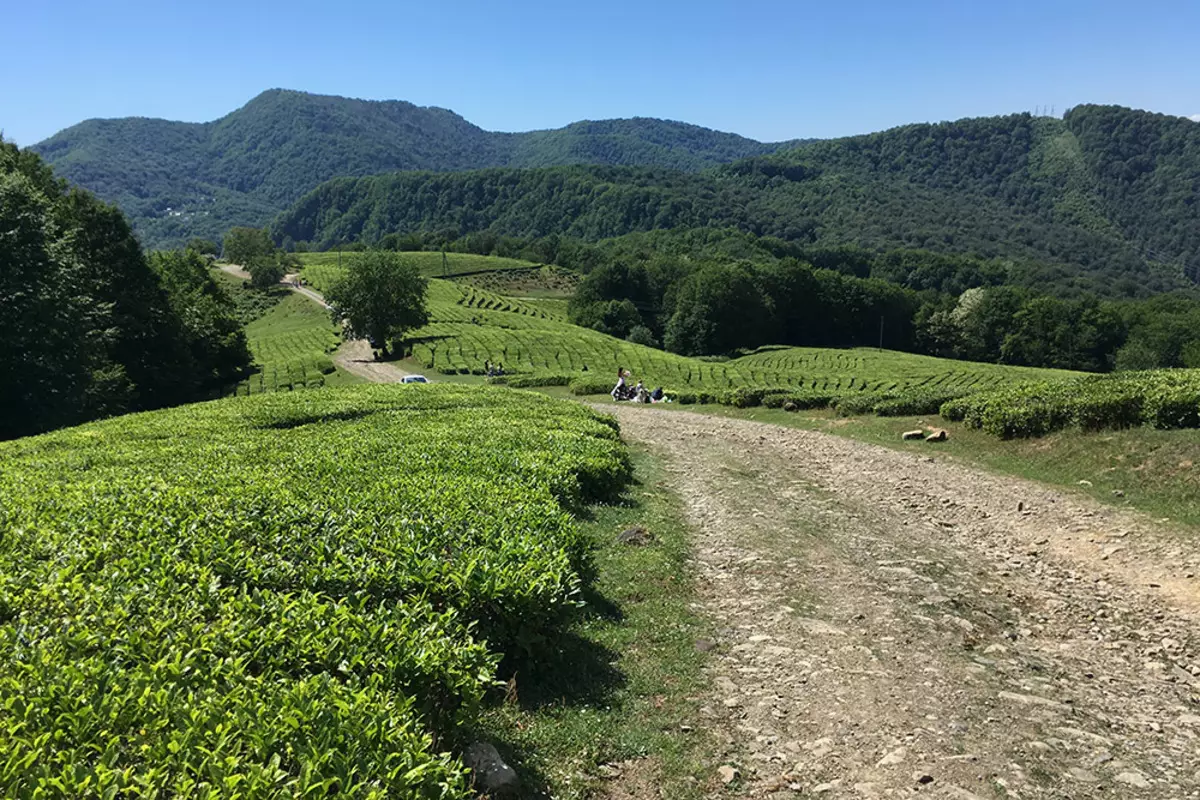 In de zomer van 2020 werden picknicken en fotoshoots geregeld in Sotchi