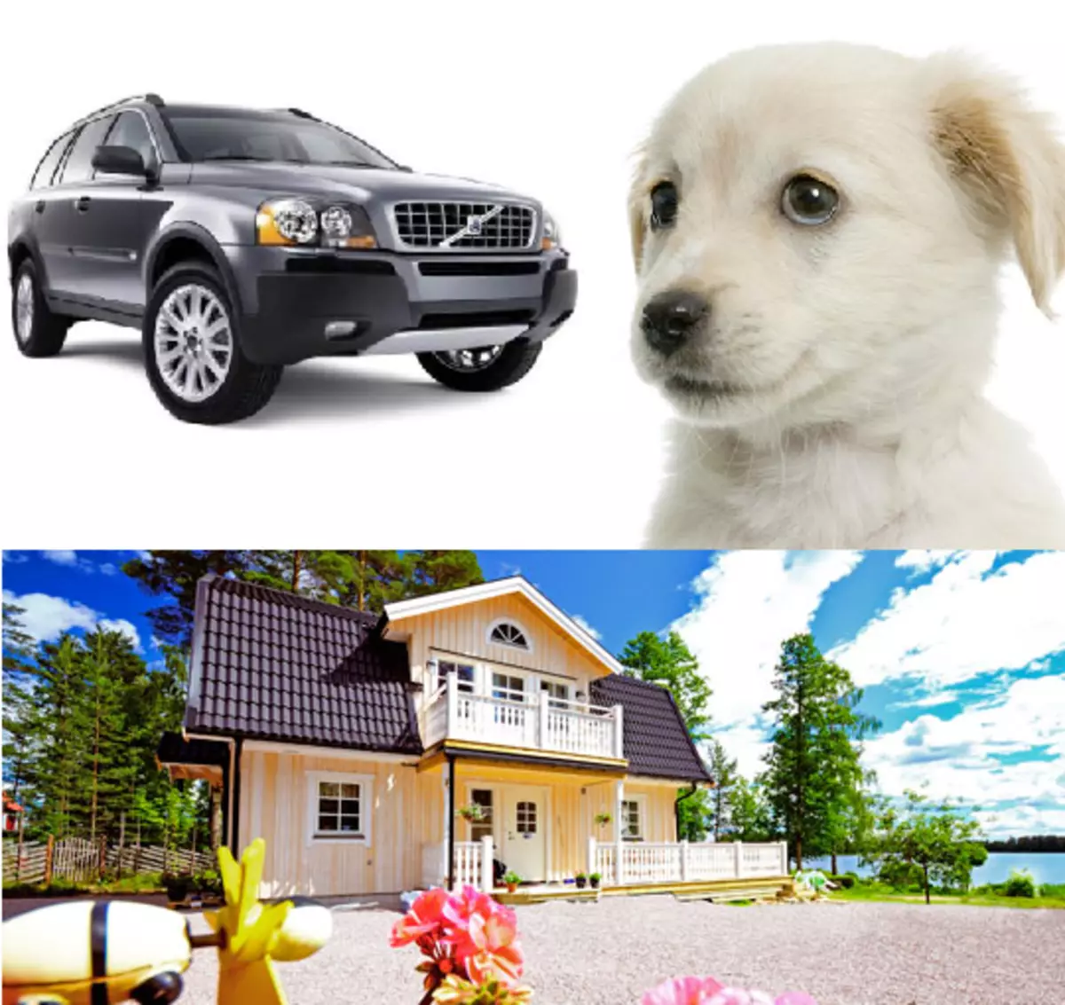 Rèv nan Sweden: Villa, Volvo ak chen