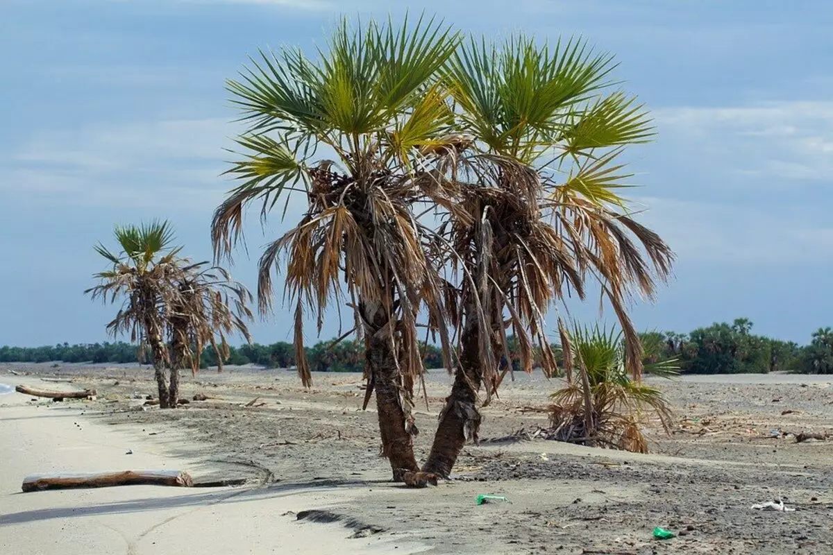 Resulta que nuestro planeta hay una isla irrevocable, donde las personas desaparecen sin rastro. 7736_2