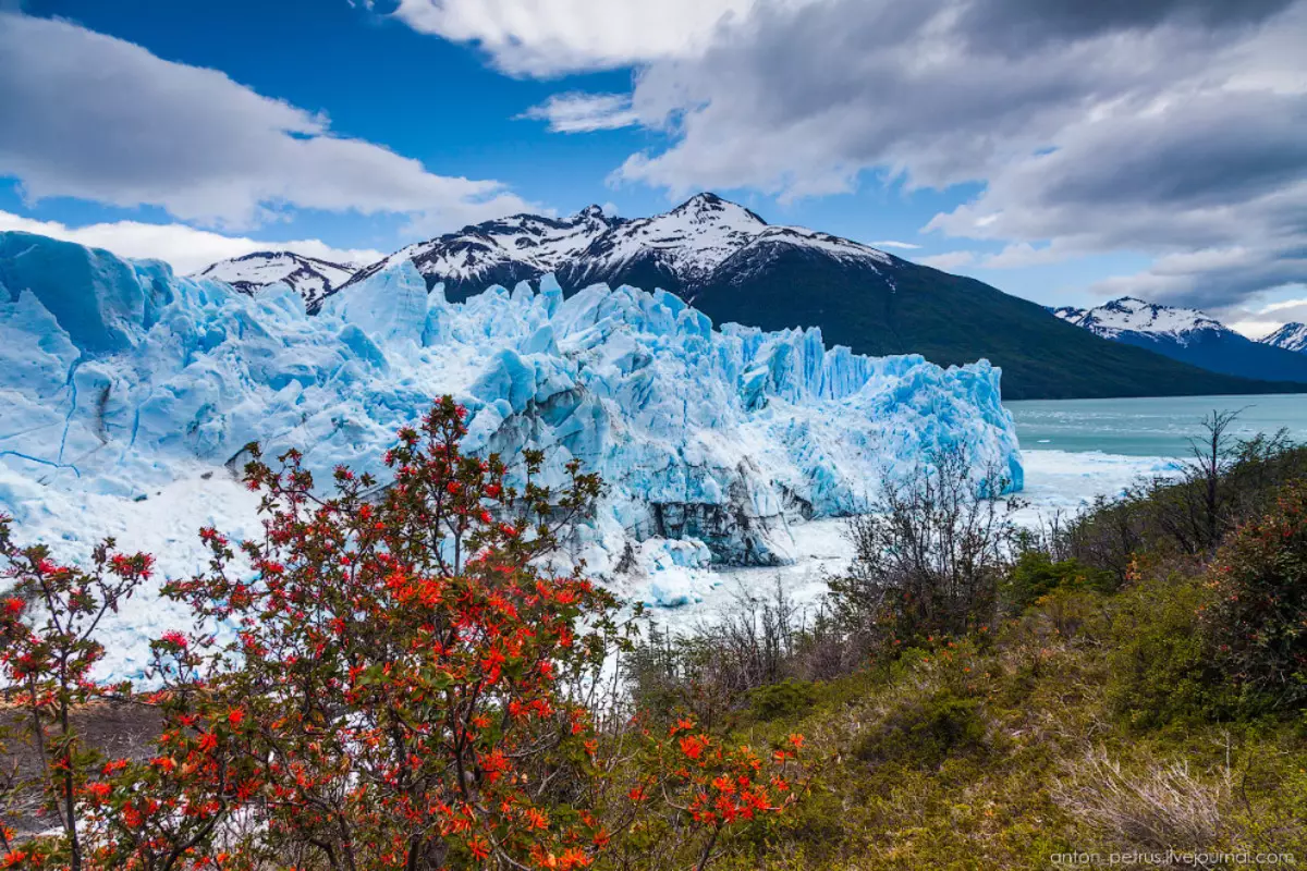 Vend fantastik në Argjentinë: Perito Moro Glacier 7788_12