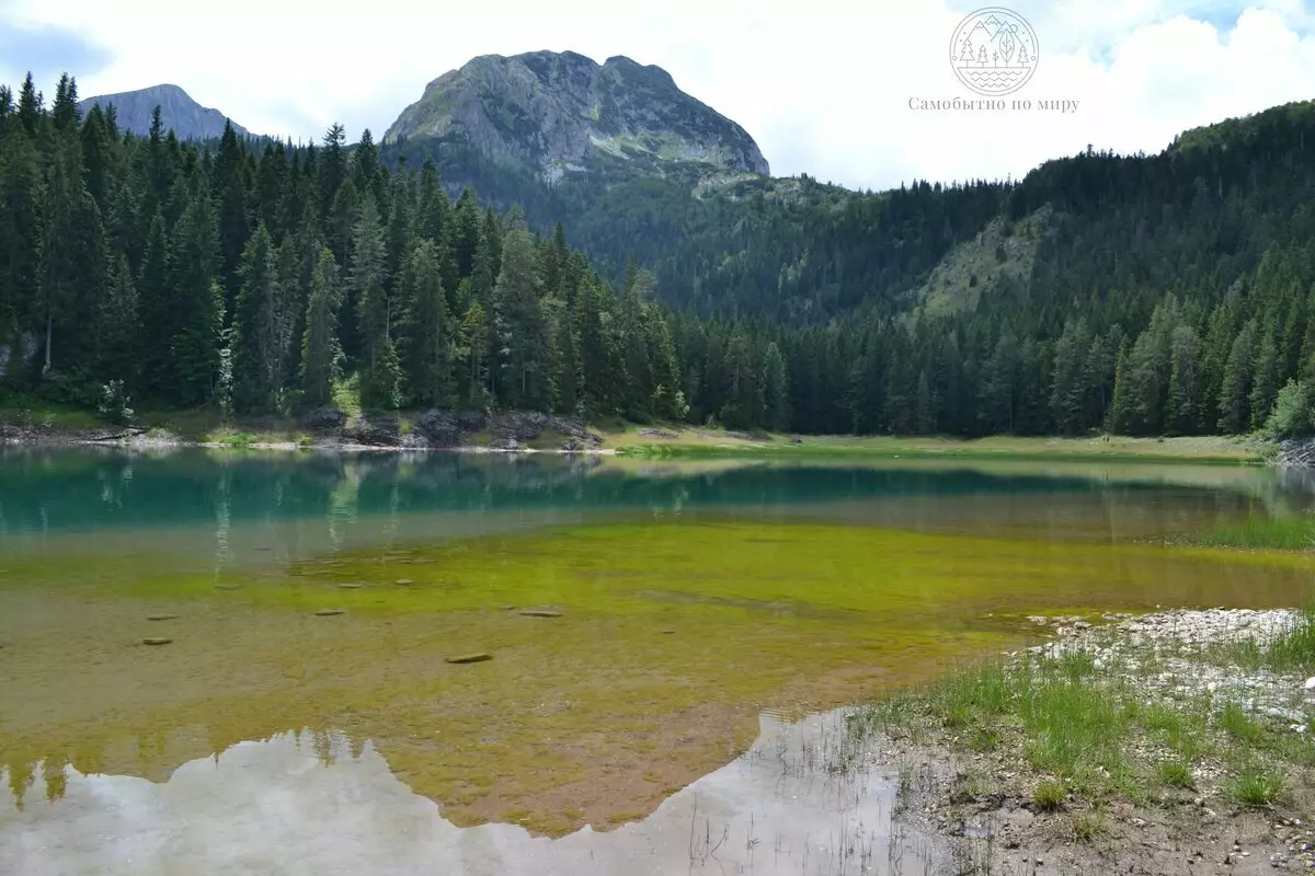 NC Park Durmitor karibu na mji wa ZhablyAK.