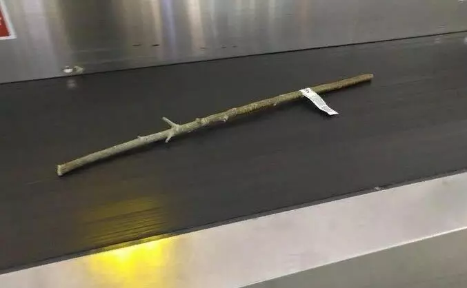 Someone passed the stick in the baggage ..