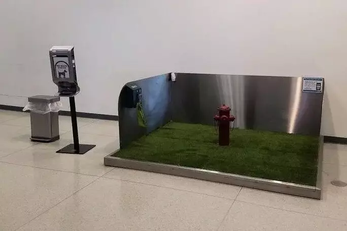 At this airport there is a lawn for walking dogs