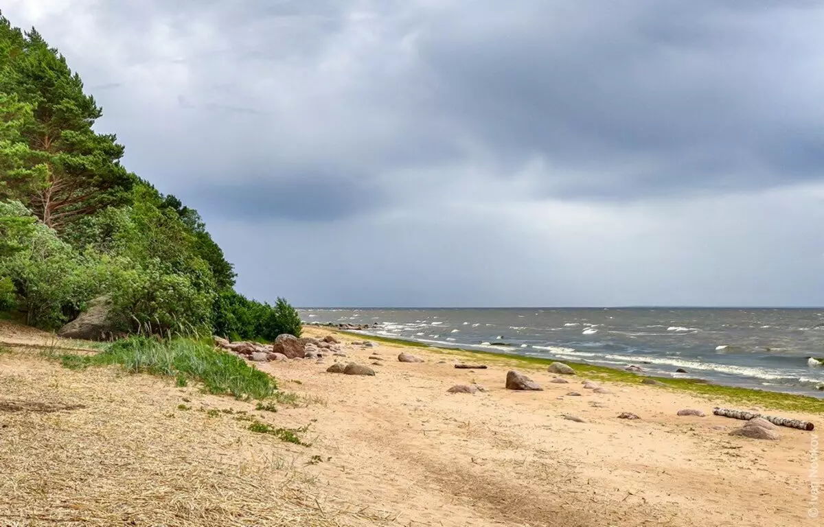 Casas abandonadas no Golfo da Finlândia. Quem os deixou? 7975_2