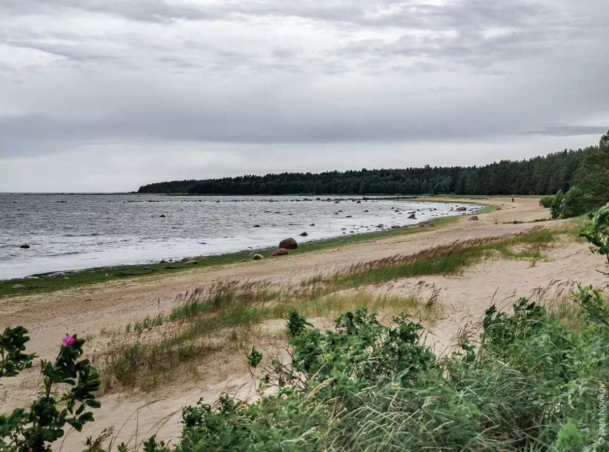 Forlasitaj domoj ĉe la Golfo de Finnlando. Kiu forlasis ilin? 7975_29