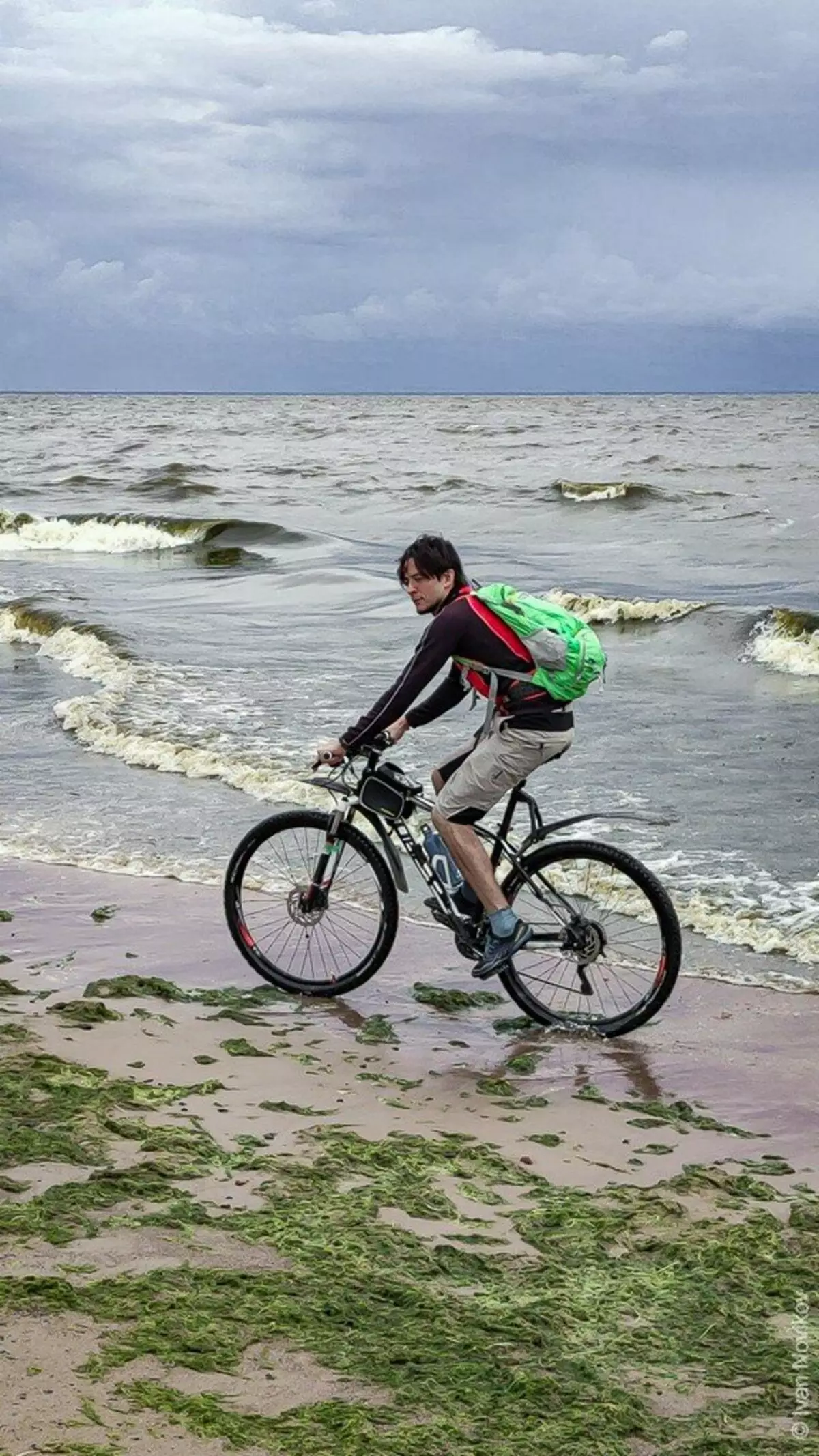 Forlasitaj domoj ĉe la Golfo de Finnlando. Kiu forlasis ilin? 7975_3