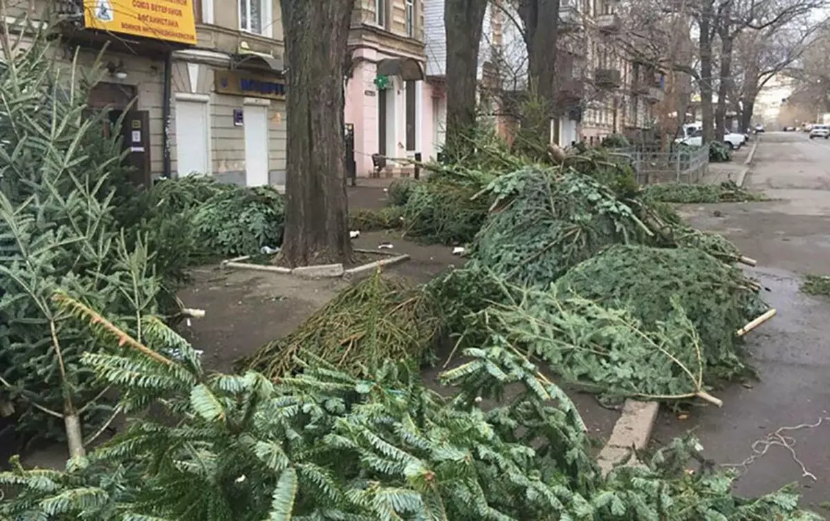 Niemieckie dziwacy, których turyści nie wiedzą 8103_3