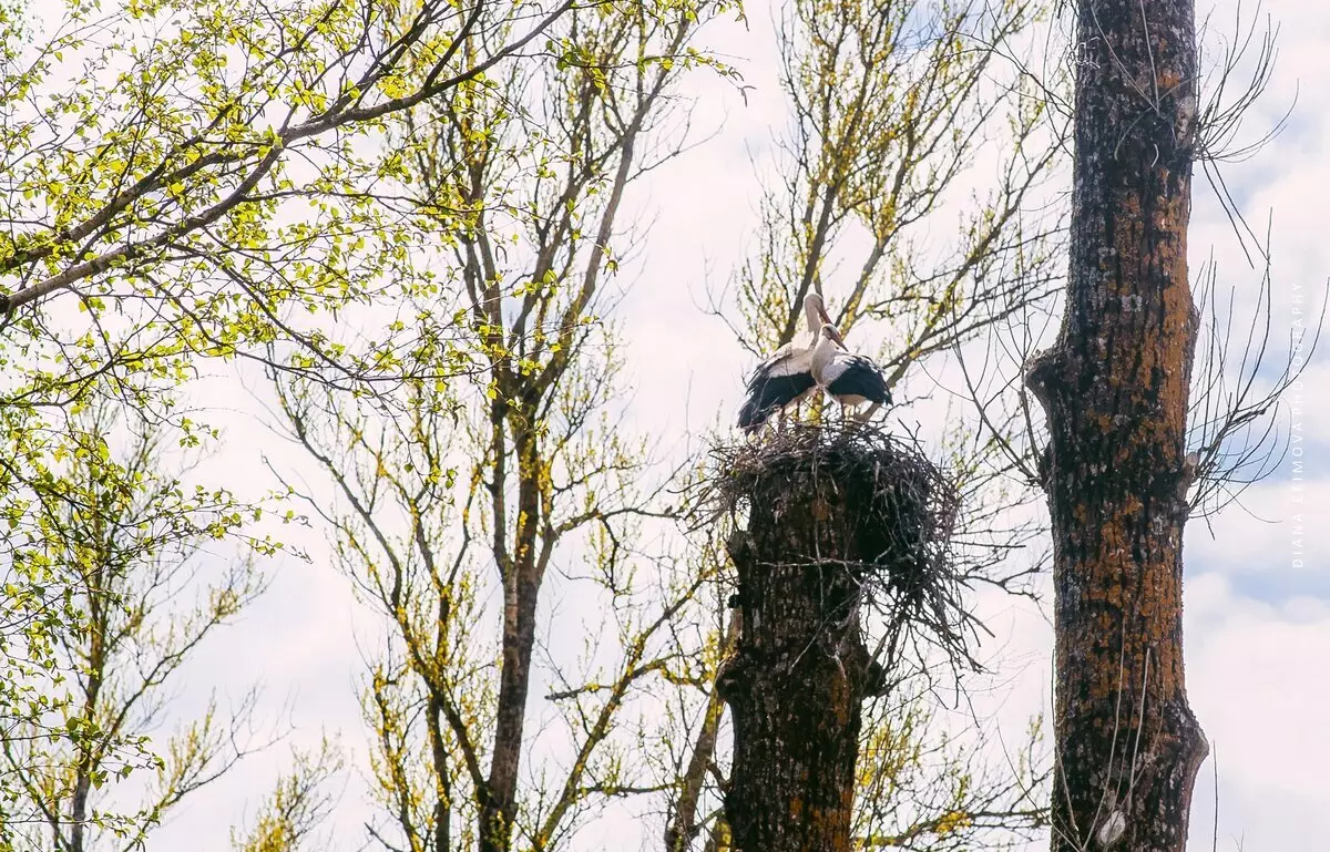 Горад Ленінградскай вобласці ў які НЕ ездзяць турысты. А ЗРЯ! Камунар 8123_11