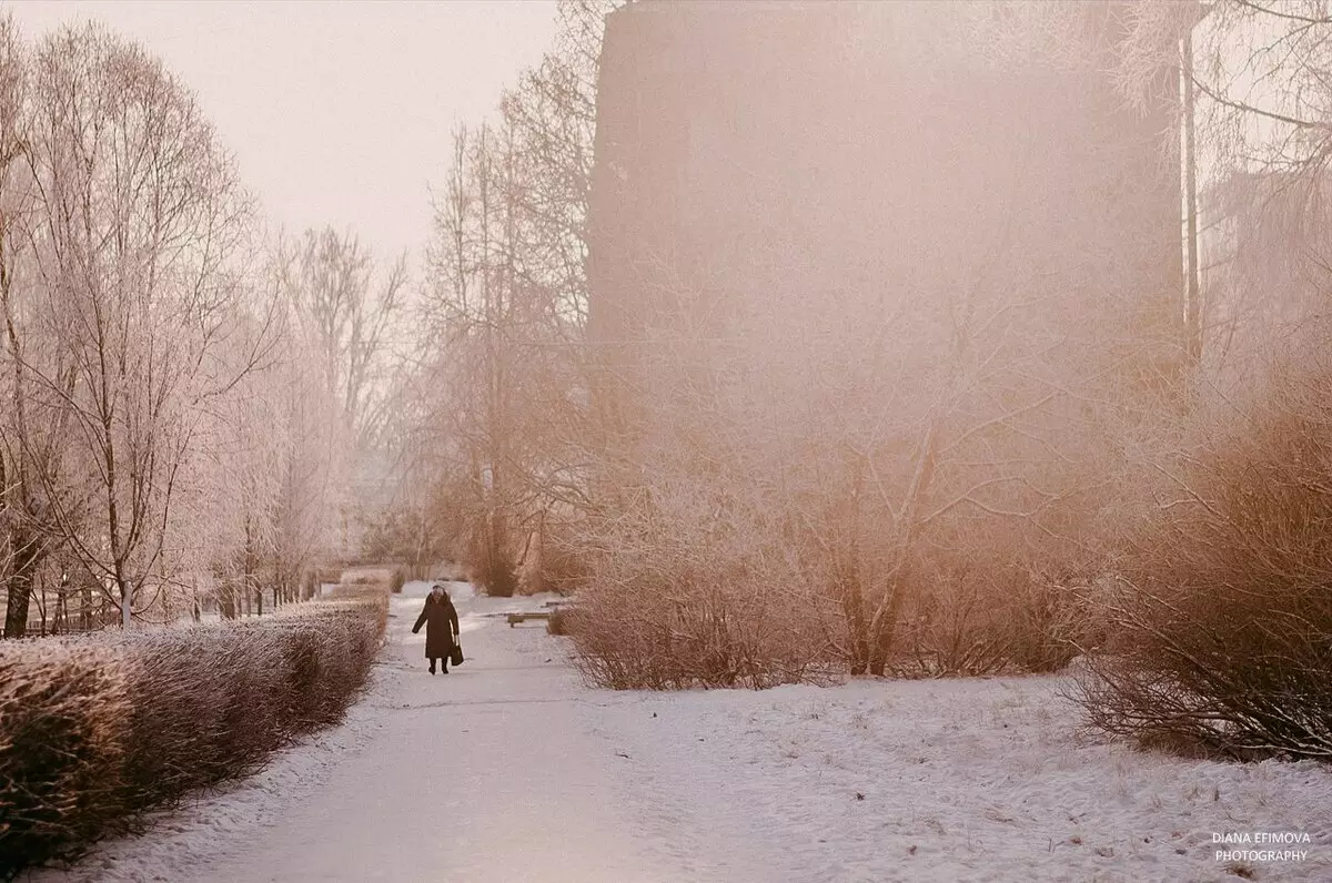 Cathair na réigiún Leningrad nach dtéann turasóirí. Agus i vain! Comórta 8123_23