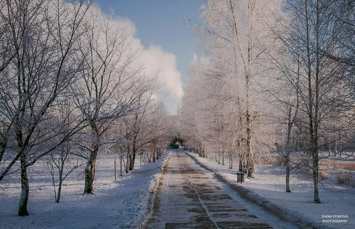 Cathair na réigiún Leningrad nach dtéann turasóirí. Agus i vain! Comórta 8123_37