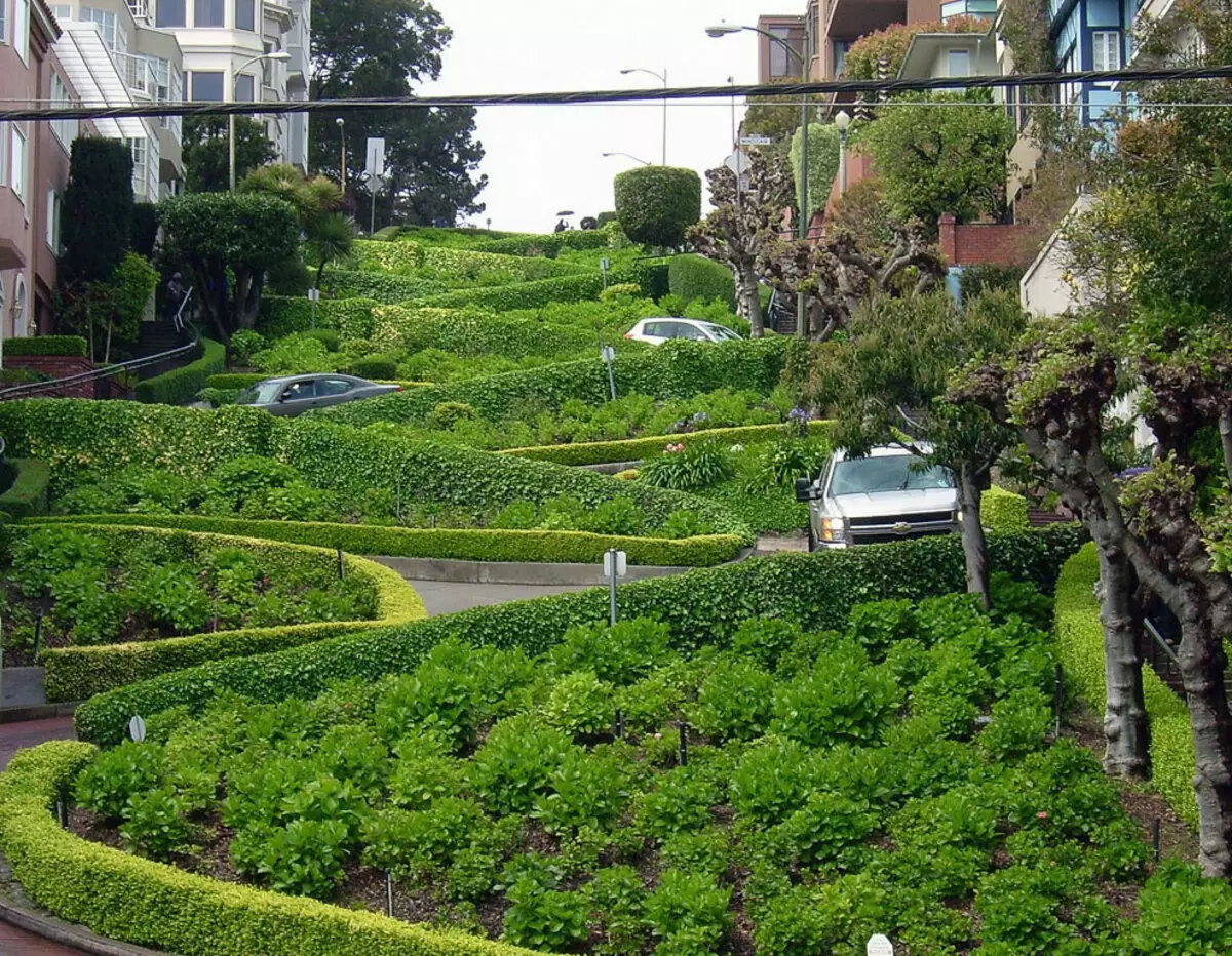 San Francisco'nun dünyanın en eğri sokağı 8379_10