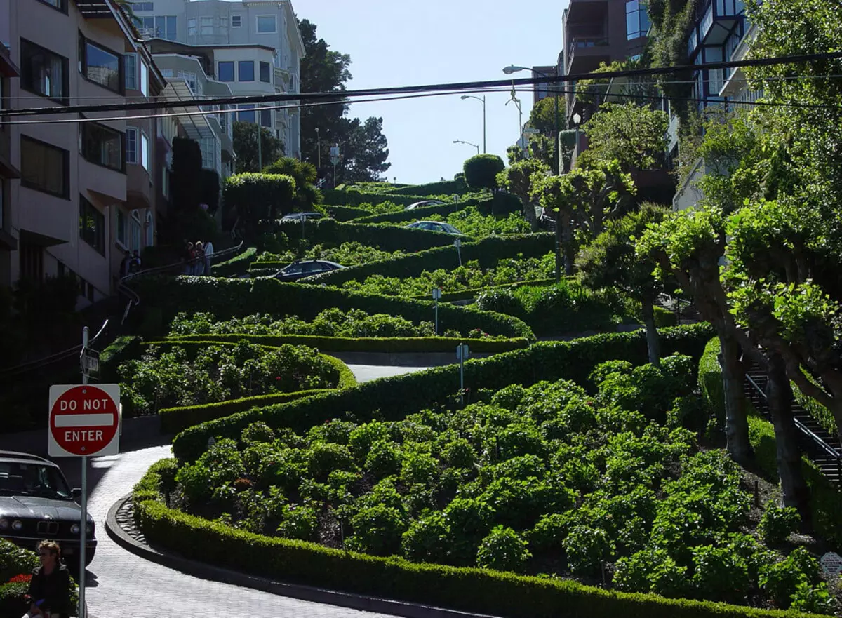 San Francisco'nun dünyanın en eğri sokağı 8379_14