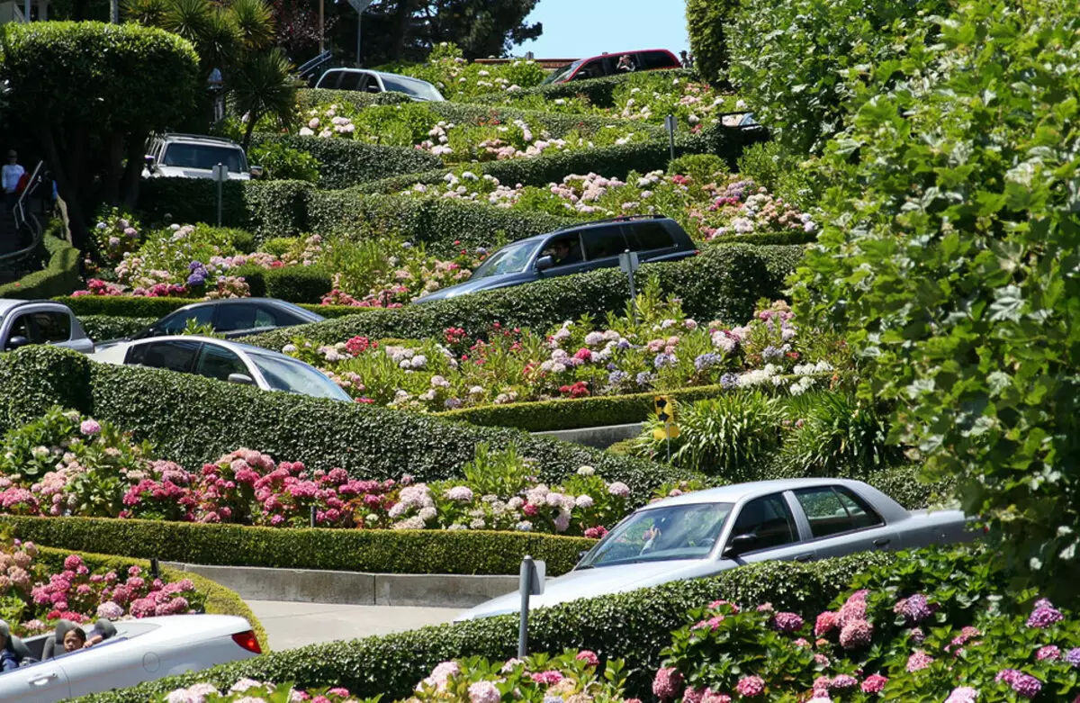 San Francisco'nun dünyanın en eğri sokağı 8379_7