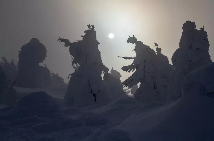 Snömonster av den gamla vulkanen i Japan 8406_1