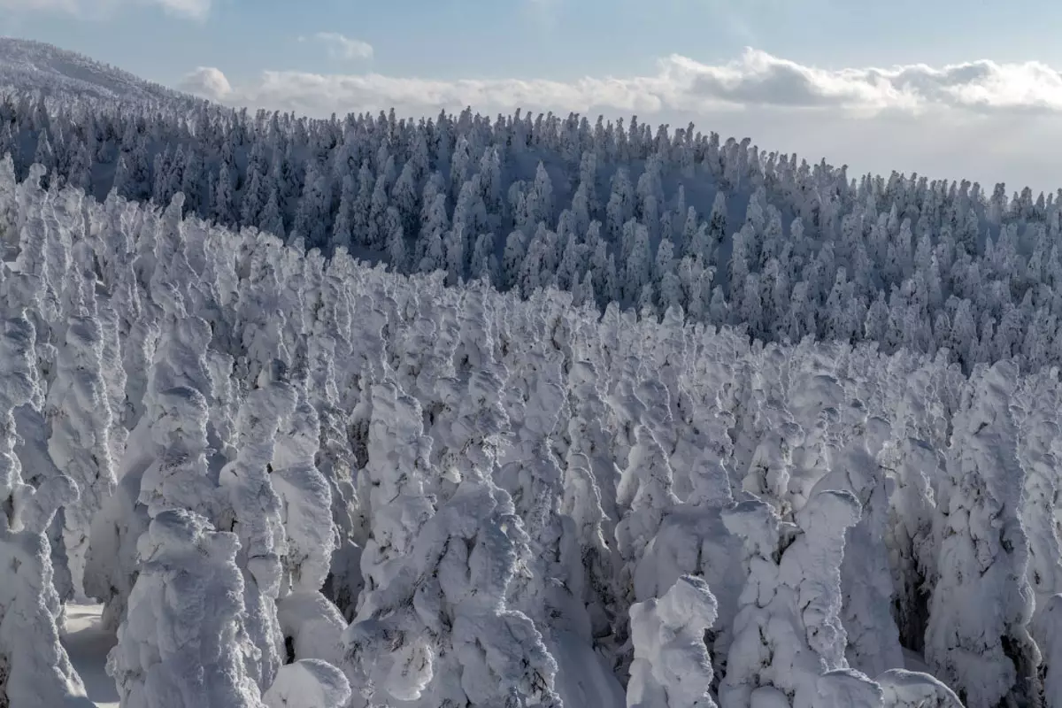 Snömonster av den gamla vulkanen i Japan 8406_12