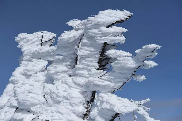 Snömonster av den gamla vulkanen i Japan 8406_2