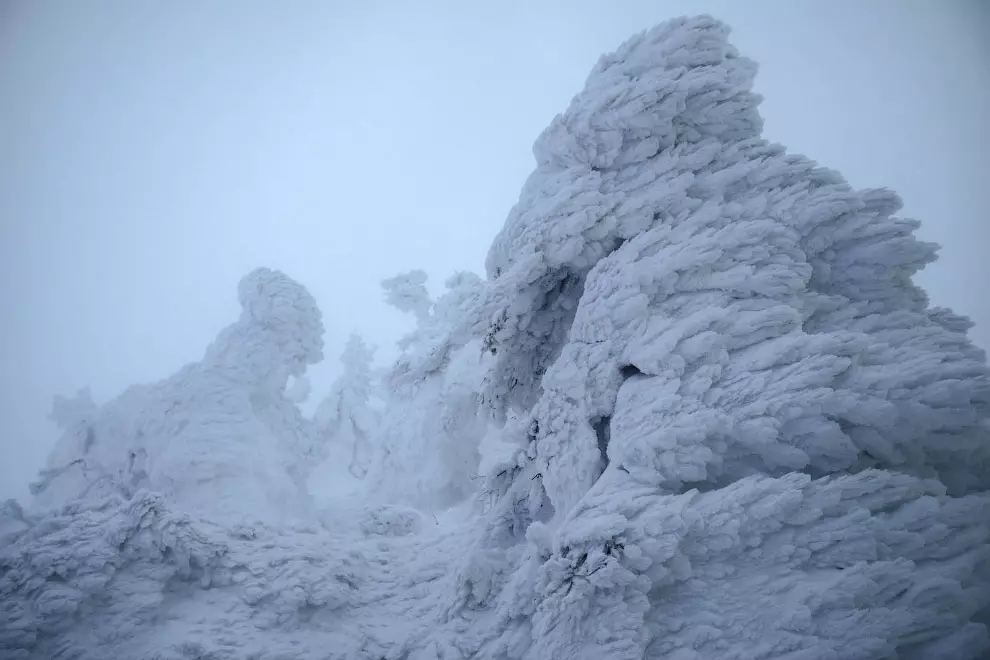 Snömonster av den gamla vulkanen i Japan 8406_8