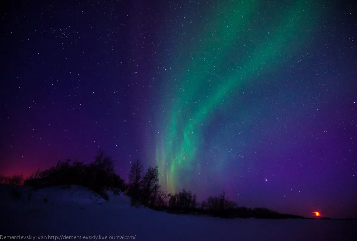 Northern Lights sa Tundra. 8461_10